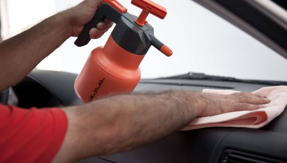 Little Black Bugs In A Car - How To Get Rid Of Them In 7 Steps?