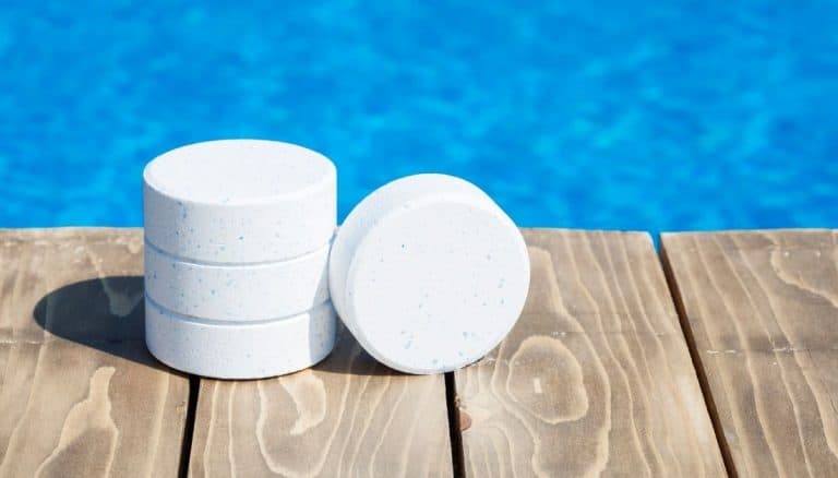 10 Types Of Swimming Pool Bugs And 7 Steps To Get Rid Of Them