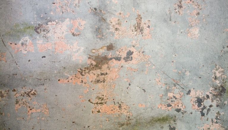 8 Signs Of Termites In Walls That You Should NEVER Ignore