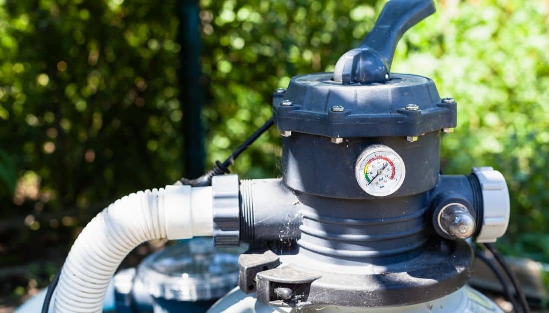 Destroy Mosquito Eggs In Pool In 8 Easy Steps