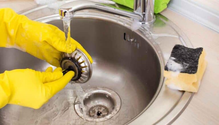 Gnats In Bedroom - 6 Hidden Reasons And Permanent Solutions